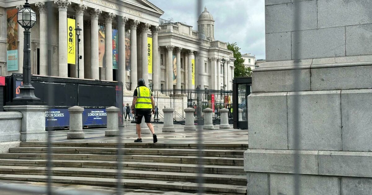 Servicios | Alpha Crew